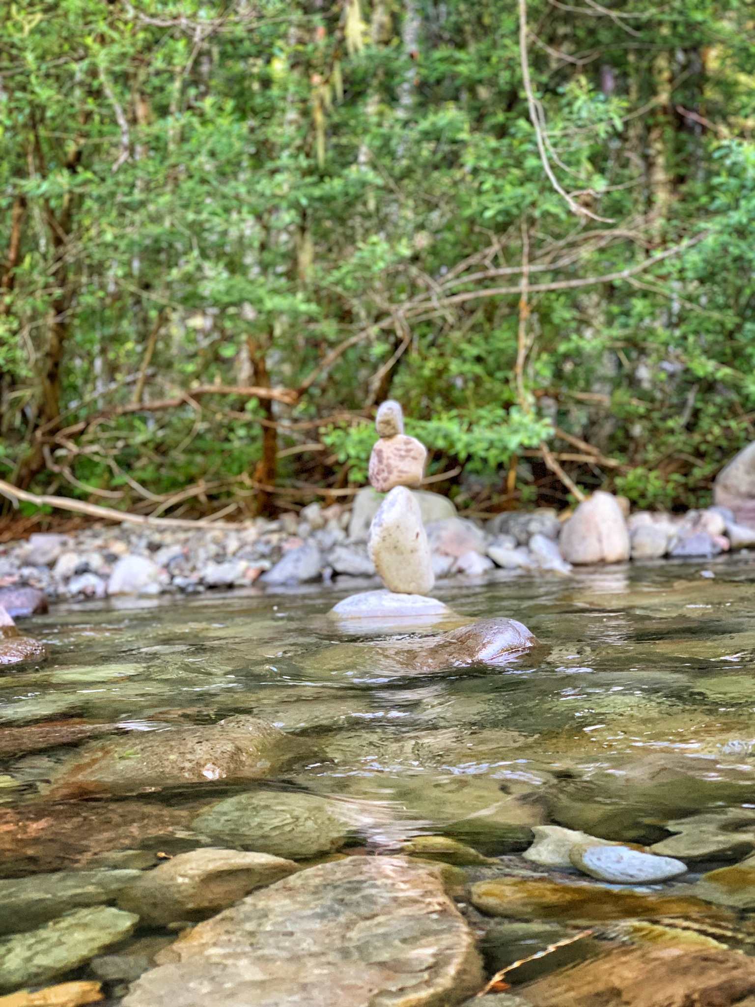 McKenzie River Stops ~ Deer Creek, Oregon – Tabitha Crystal Eck