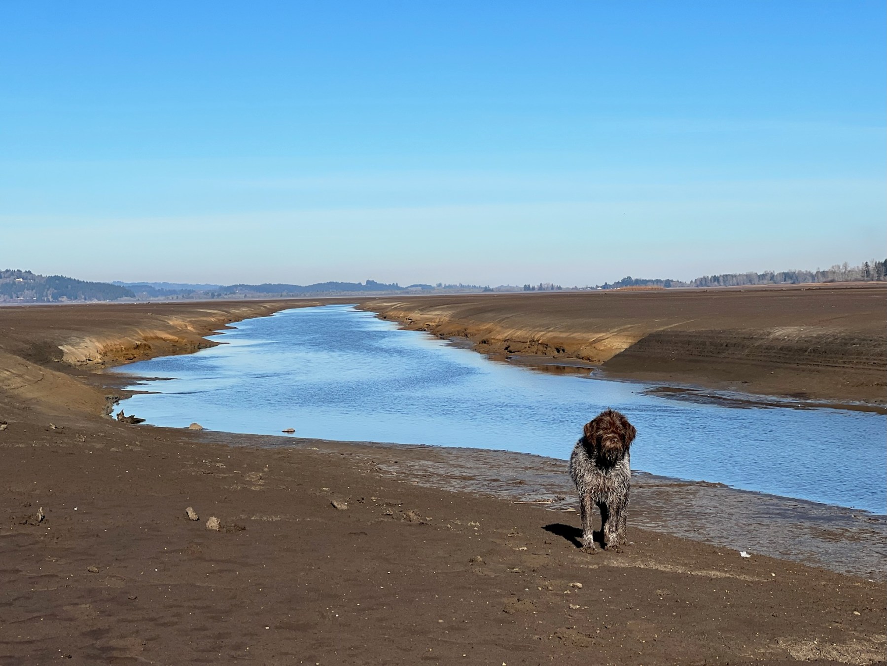 Fern Ridge Reservoir | Oregon – Tabitha Crystal Eck