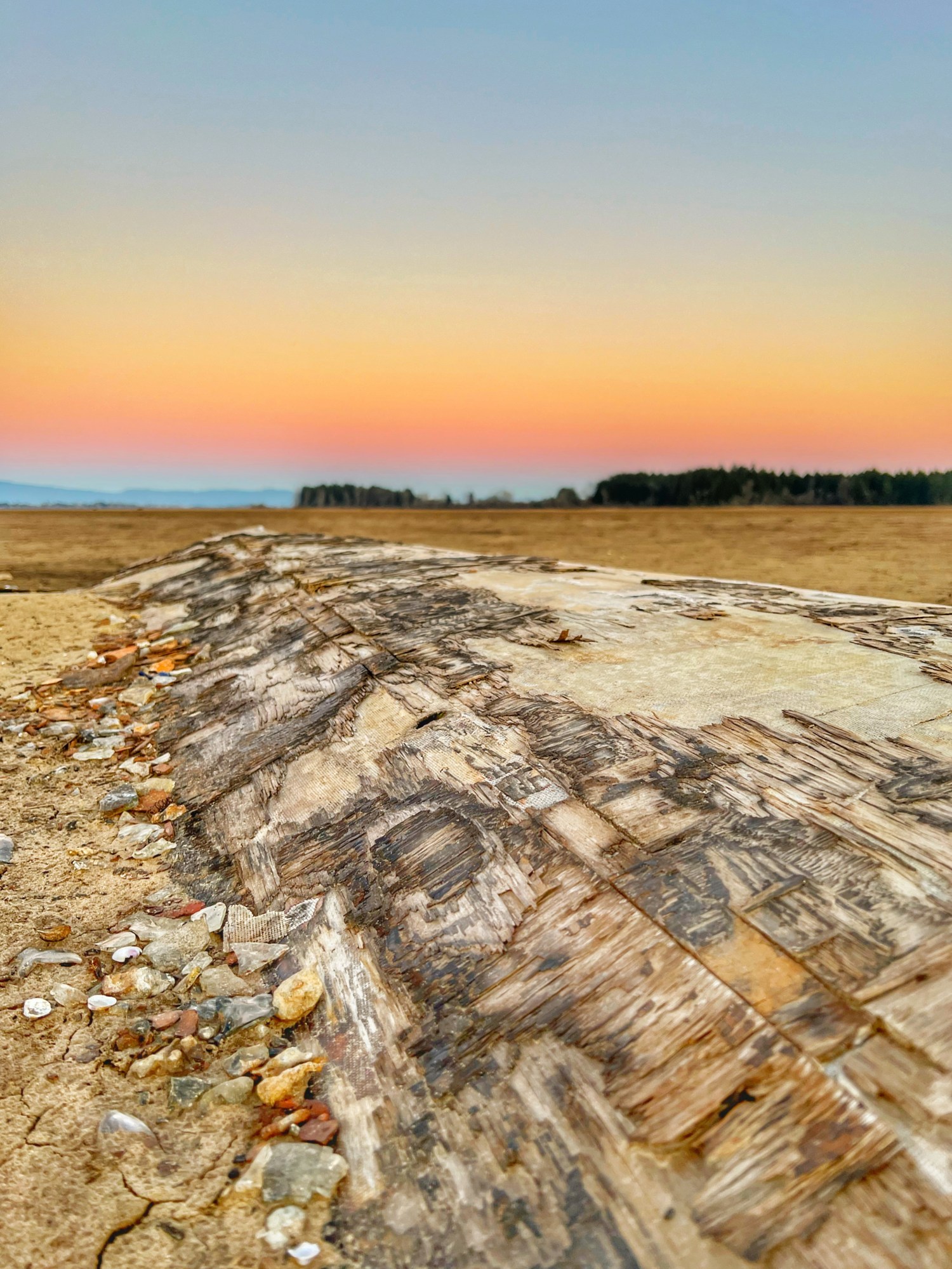 Fern Ridge Reservoir | Oregon – Tabitha Crystal Eck