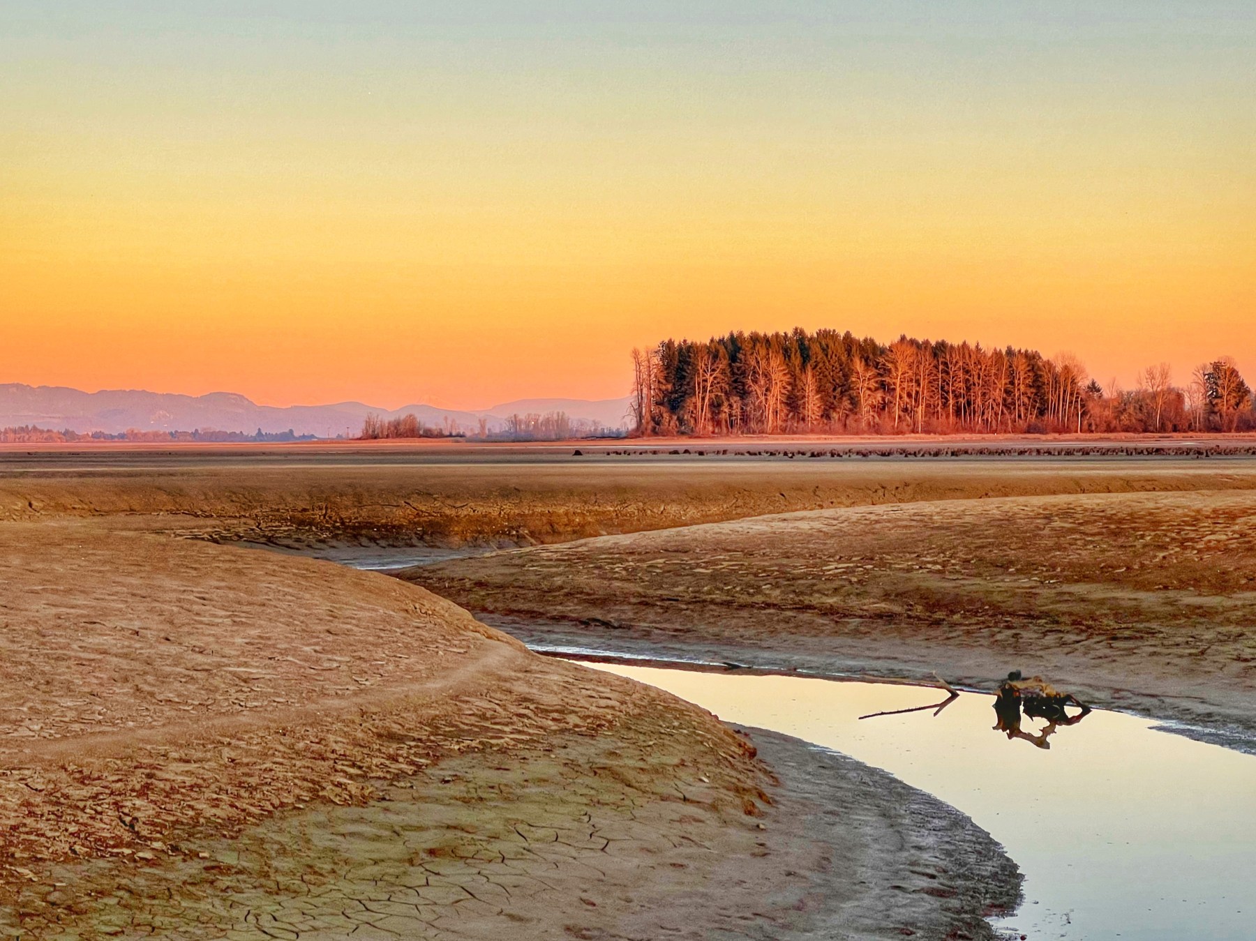 Fern Ridge Reservoir | Oregon – Tabitha Crystal Eck