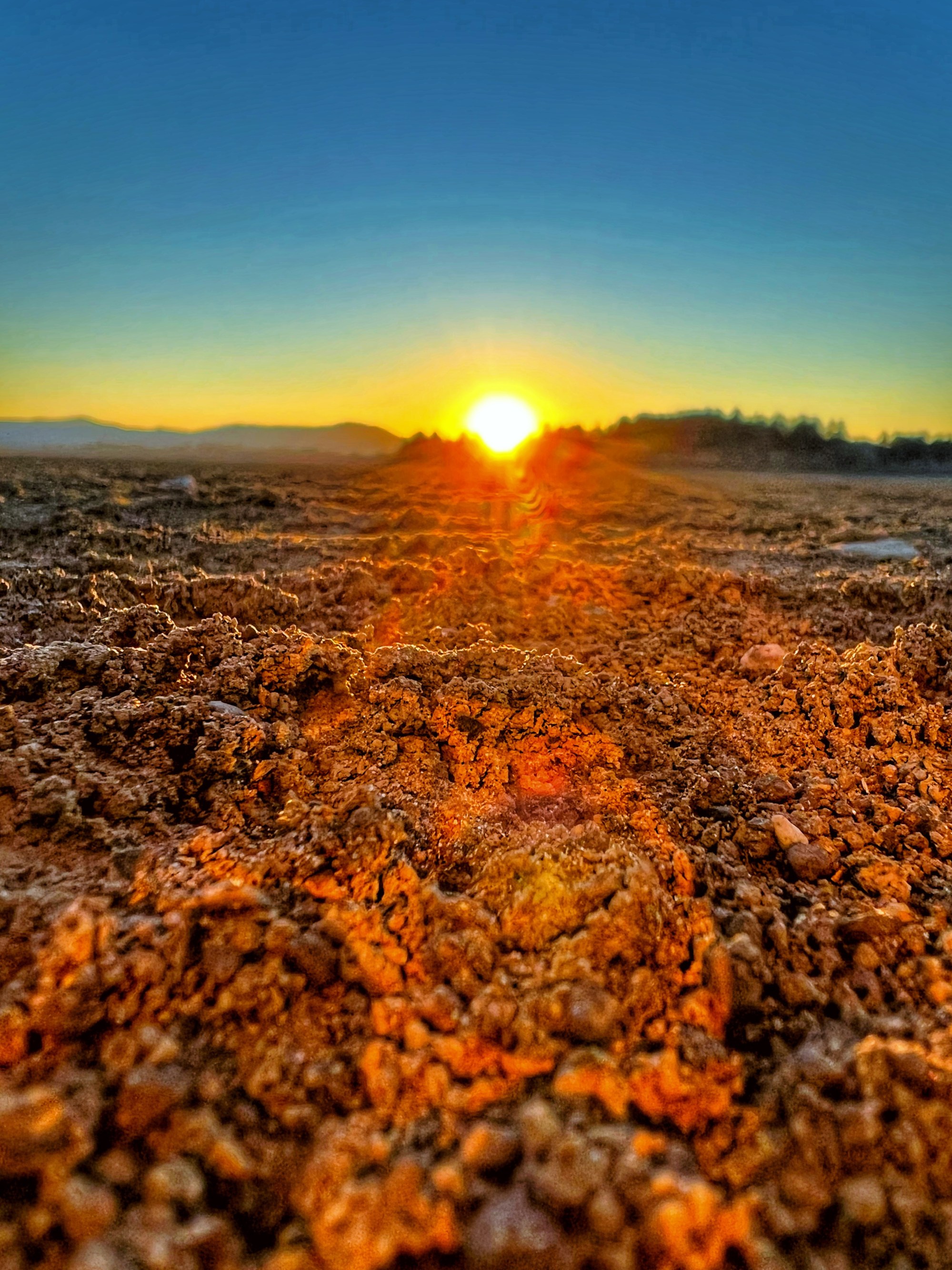 Fern Ridge Reservoir | Oregon – Tabitha Crystal Eck