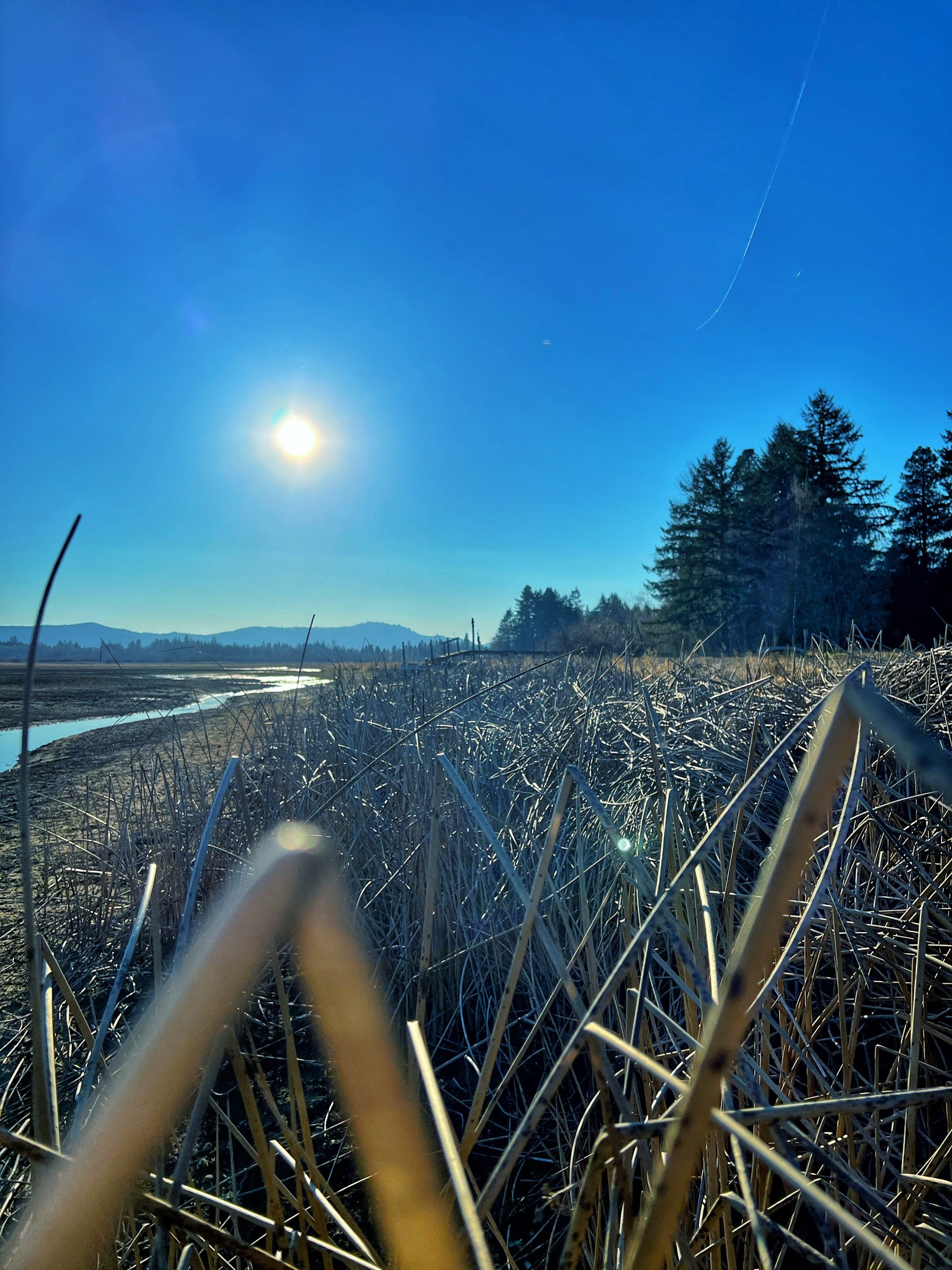 Fern Ridge Reservoir | Oregon – Tabitha Crystal Eck