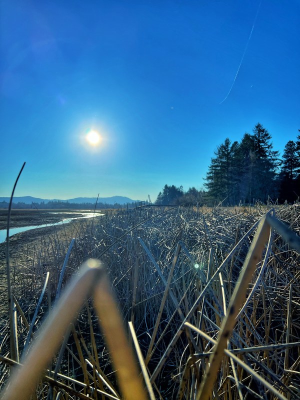 Fern Ridge Reservoir | Oregon – Tabitha Crystal Eck