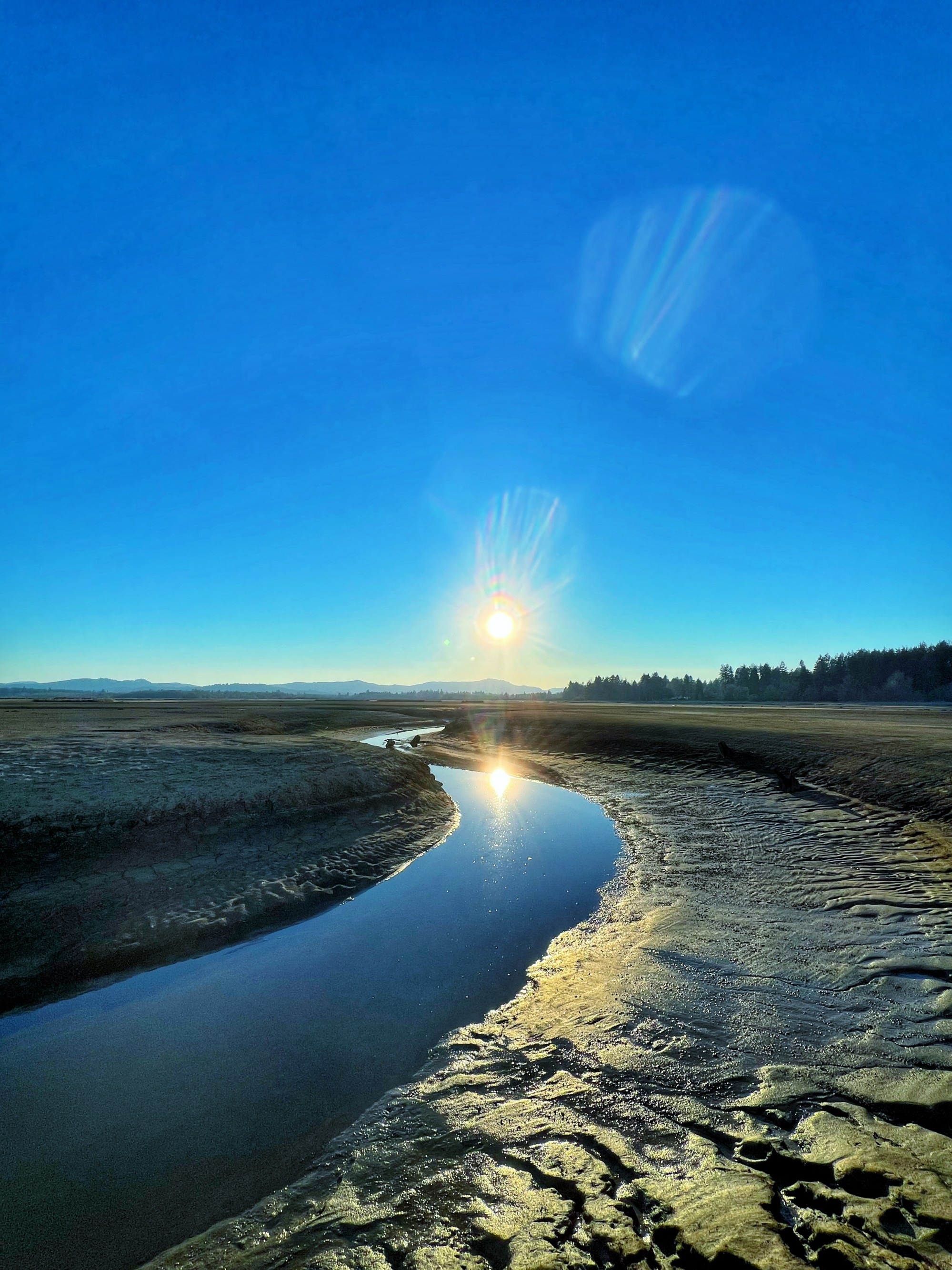 Fern Ridge Reservoir | Oregon – Tabitha Crystal Eck