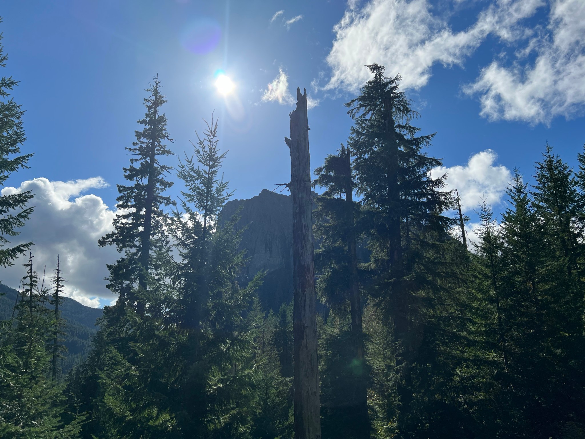 Wolf Rock | Blue River | Oregon – Tabitha Crystal Eck