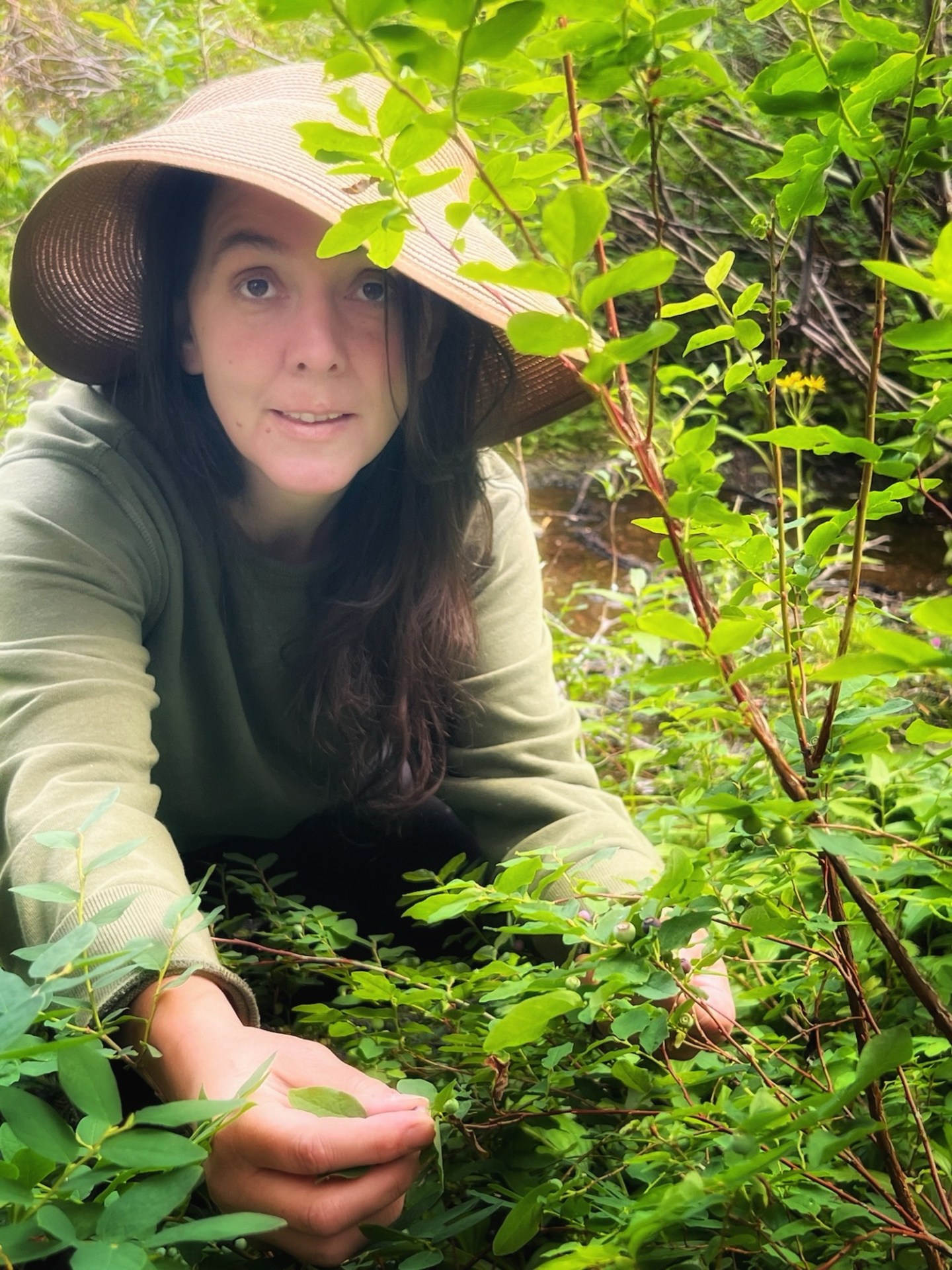 Old McKenzie Highway | Oregon – Tabitha Crystal Eck