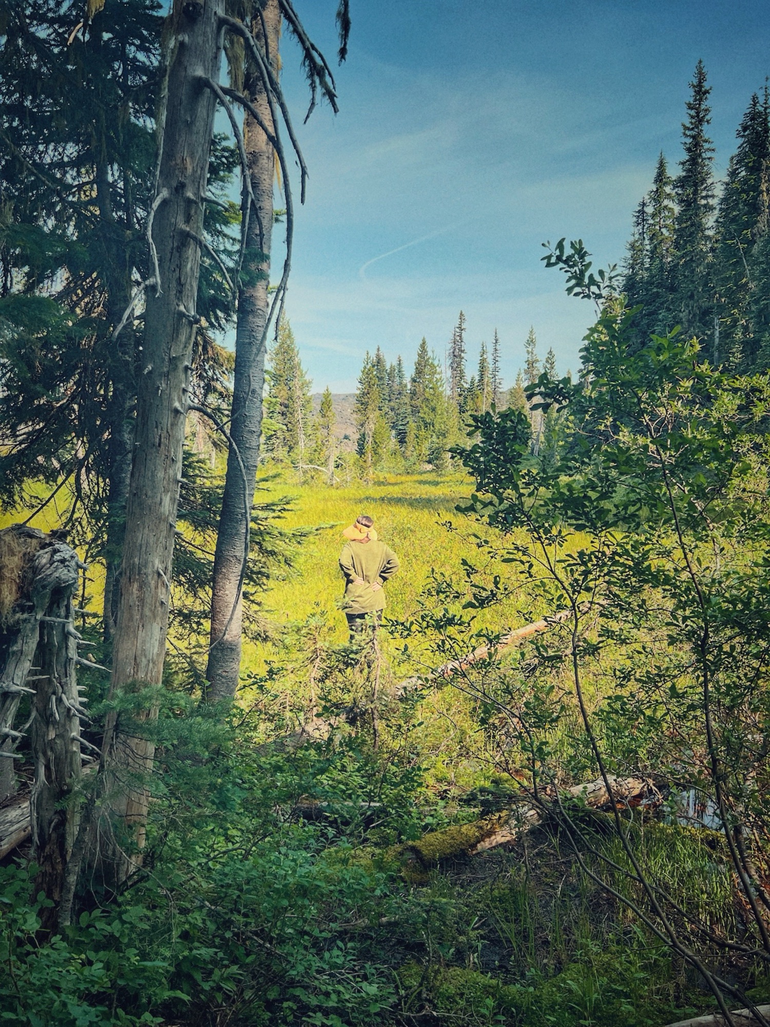 Old McKenzie Highway | Oregon – Tabitha Crystal Eck