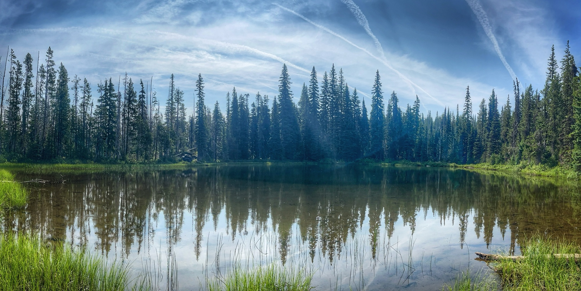Old McKenzie Highway | Oregon – Tabitha Crystal Eck